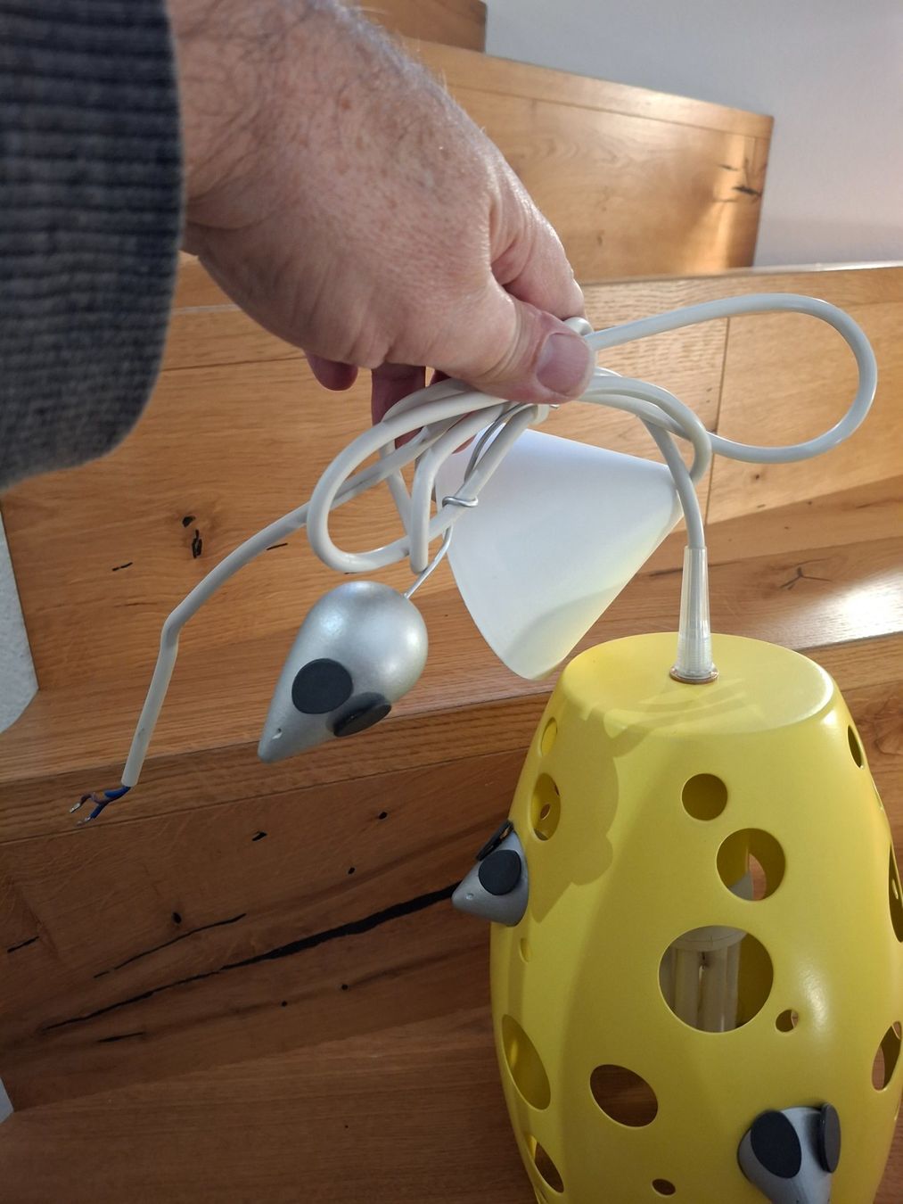 Käse Lampe / Kinderzimmerlampe / Mäuse Lampe (Gebraucht) in Horriwil ...