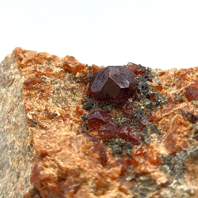 HESSONIT, Granat ROSSO mit CLINOCHLOR, Italien (Nuovo (secondo la ...