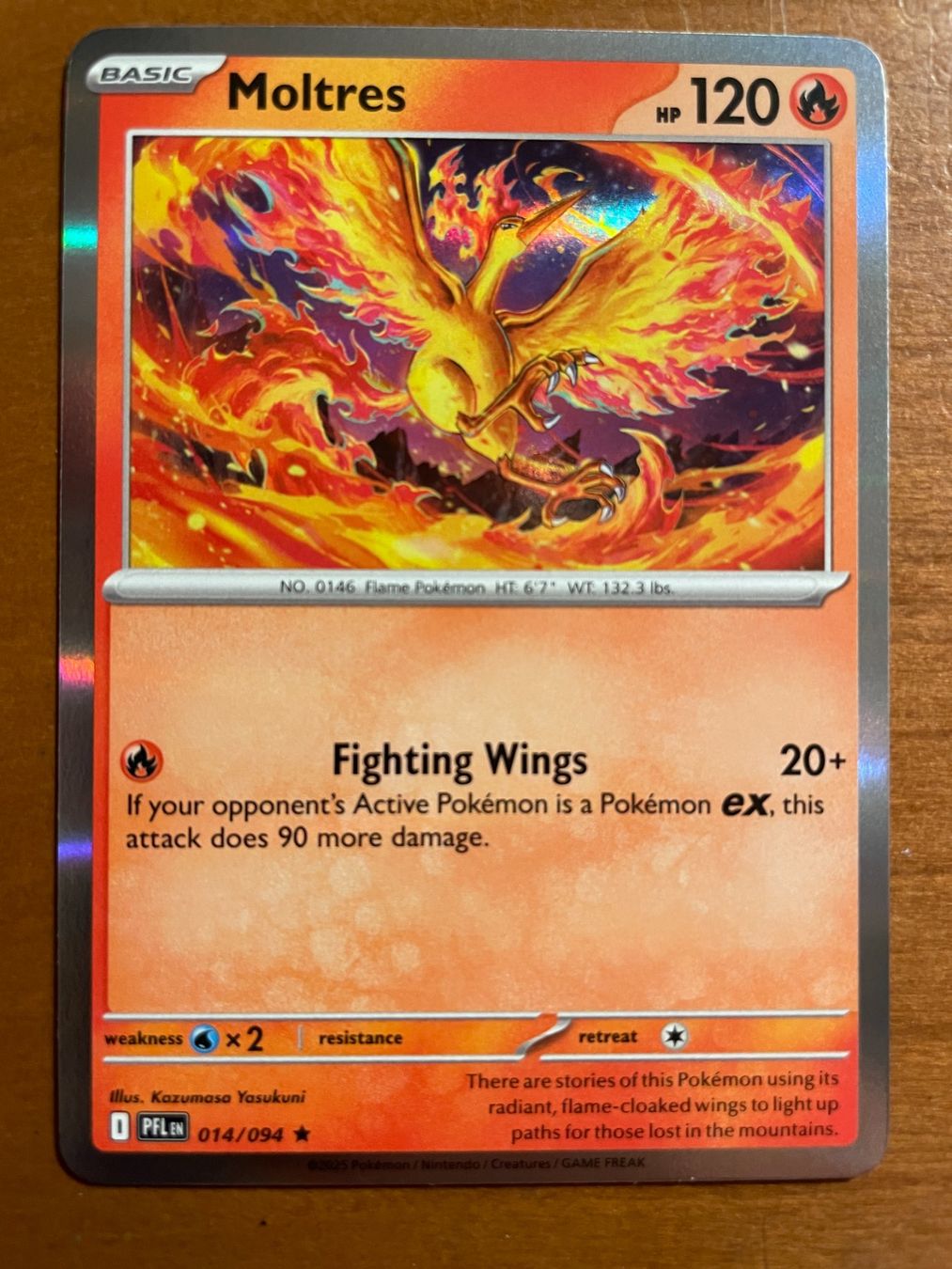 Pokemon Moltres Holo (Versand gratis) (Neu (gemäss Beschreibung)) in ...