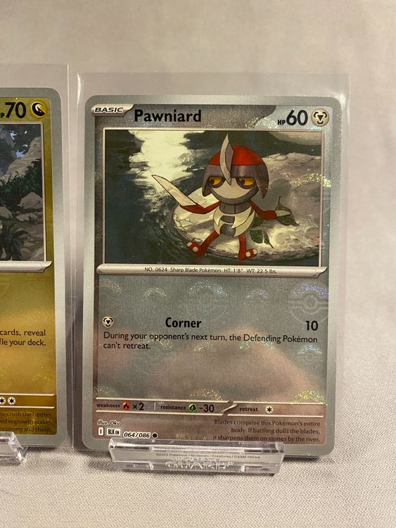 Pokémon / Poke Ball Foil Holo / Black Bolt / EN / Axew etc. (Neu ...