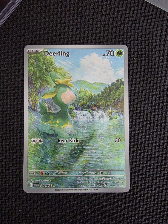 Pokemon Deerling >> White Flare >> 091/086 >>🇺🇲 (Neu (gemäss ...