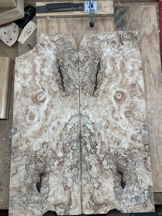 Spalted maple amazing figured top (Neu (gemäss Beschreibung)) in ...