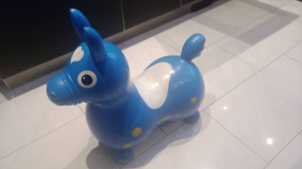 Hüpfpferd Rody (Gebraucht) in Grüsch für CHF 15 – mit Lieferung auf ...