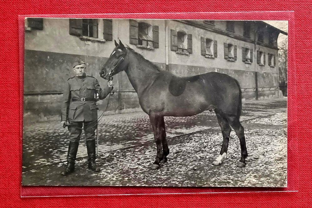 Zürich - Kaserne - Soldat mit Pferd - Train (Gebraucht) in Rothrist für CHF 4.8 – mit Lieferung ...