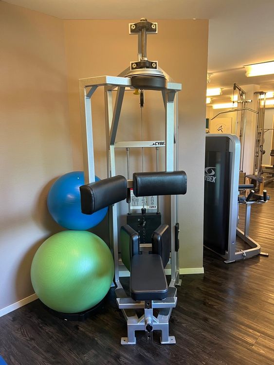 Cybex: Rotary Torso | Kaufen auf Ricardo