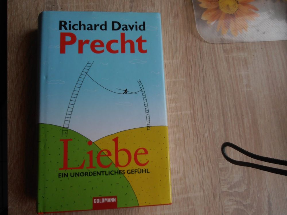 Richard David Precht - Liebe | Kaufen auf Ricardo