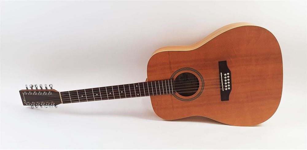 NORMAN 12 String Gitarre B20 (Gebraucht) in für CHF 219 – nur Abholung ...