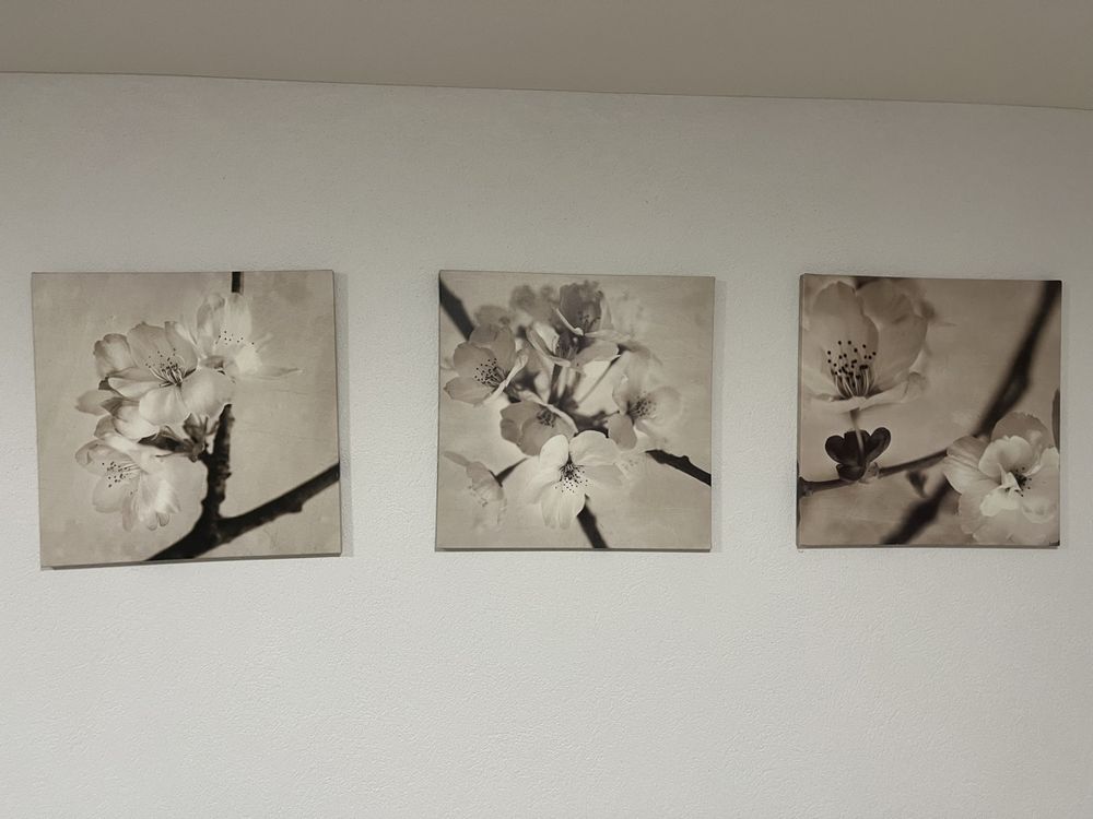 3er Set Leinwandbilder Kirschblüten 🌸 | Kaufen auf Ricardo