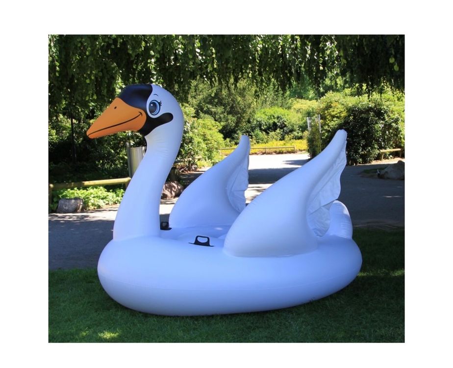 Intex Mega Schwan Badeinsel (Gebraucht) in Meisterschwanden für CHF 1 ...