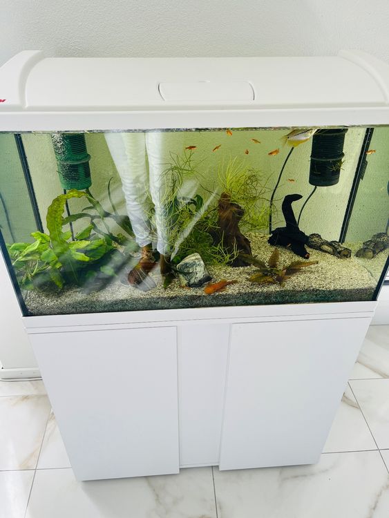 Eheim Aquarium 126 Liter LED | Kaufen auf Ricardo