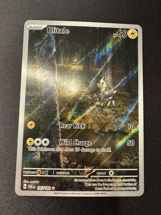 Blitzle - Paradox Rift EN | Kaufen auf Ricardo