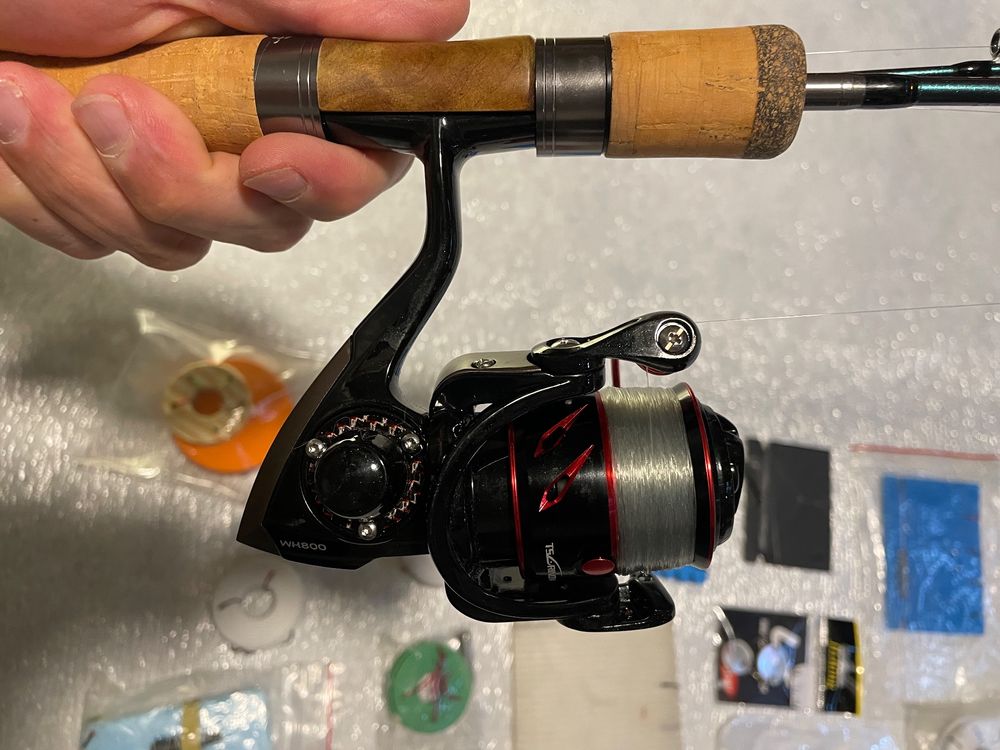 Felchen Rute, Rollen und Hegenen gemäss Bilder (Gebraucht) in zug für ...