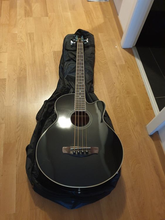 Ibanez akustischer Bass mit Tonabnehmer | Kaufen auf Ricardo