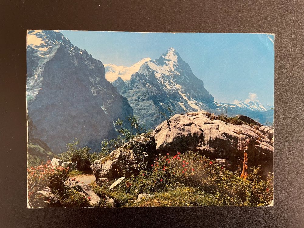 AK BE Blick von der Grossen Scheidegg, Mönch, Eiger (Gebraucht) in Thal für CHF 1 – mit ...