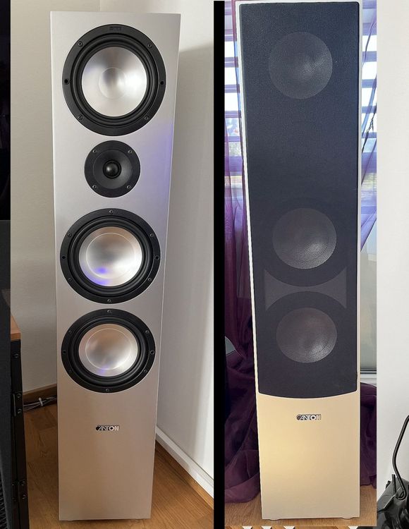 CANTON GLE 496 SILBER (Gebraucht) in für CHF 239 – nur Abholung auf ...