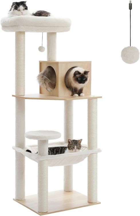 Kratzbaum Kletterbaum Katzenbaum 143cm, Katzenhaus modern (Neu und ...