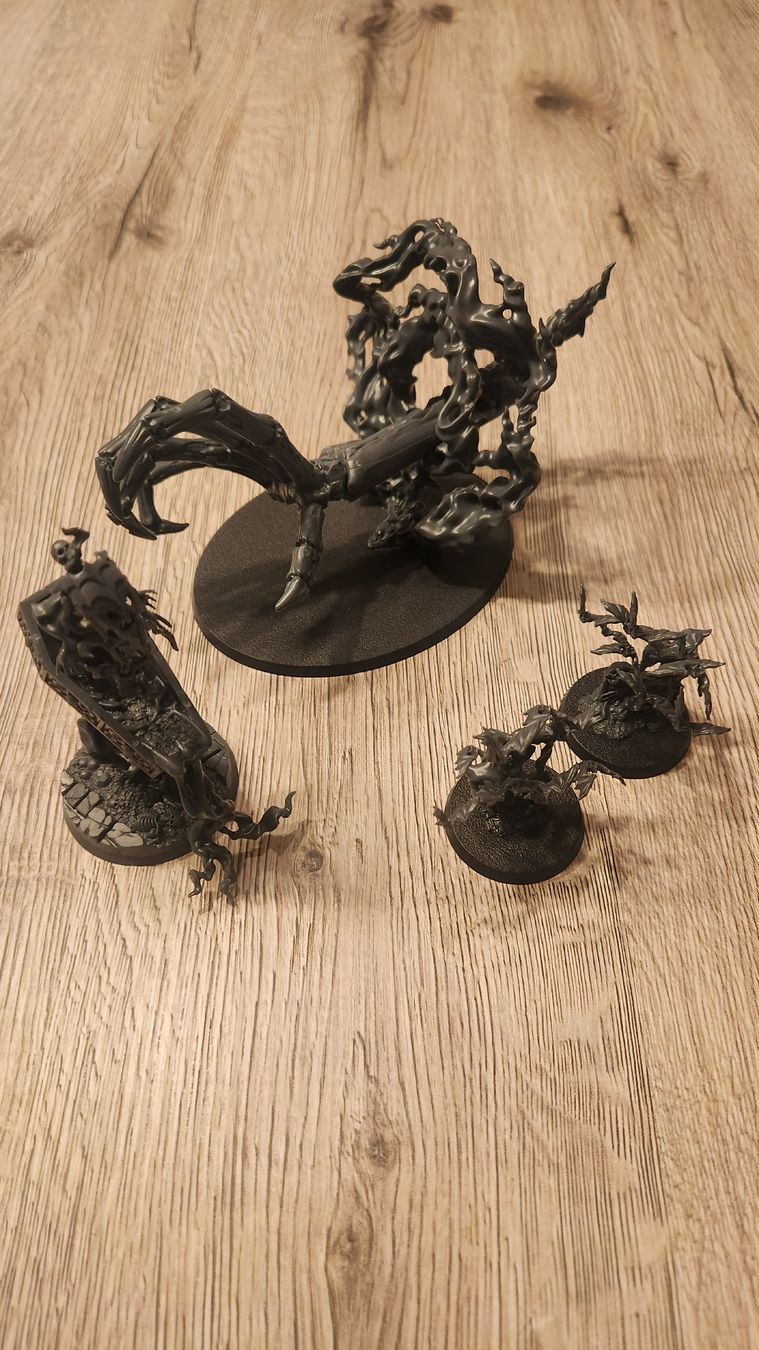 Soulblight Gravelords Endless Spell warhammer (D'occasion) à Bussigny ...