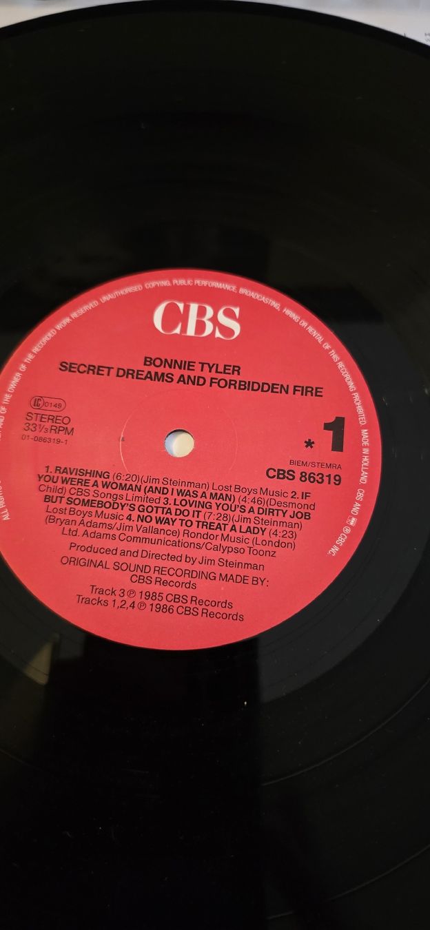 Bonnie Tyler - Secret Dreams and forbidden fire 1986 Nm,Nm (D'occasion ...