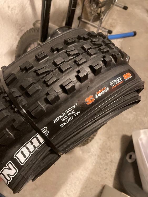 Maxxis DHF 29 2.5 WT DD MaxxTerra | Kaufen auf Ricardo
