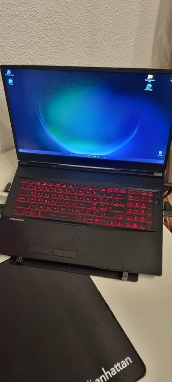 MSI GL75 Leopard Gaming Laptop | Kaufen auf Ricardo