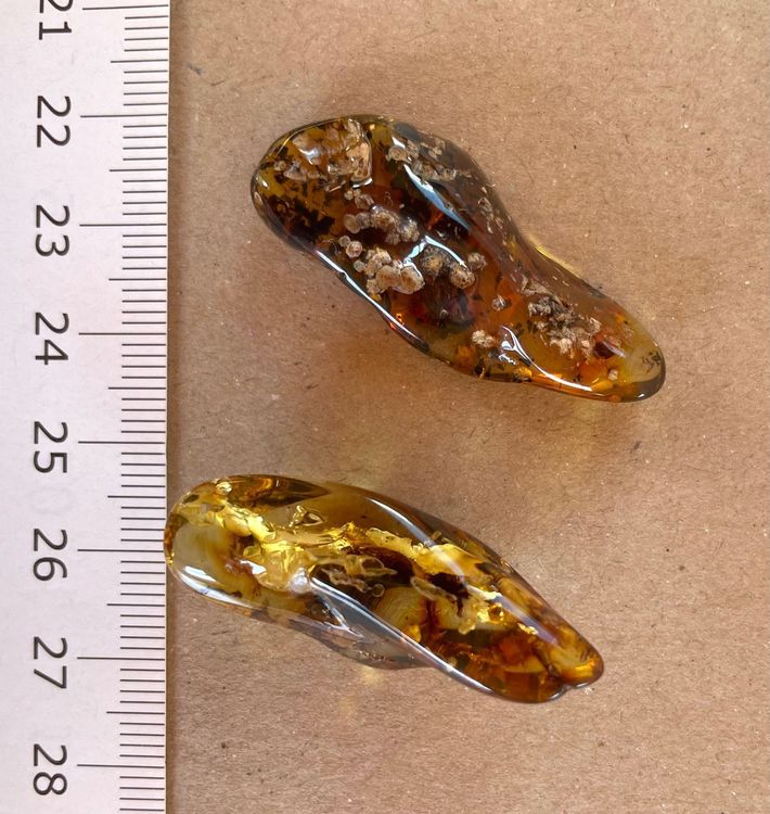 Bernstein Amber 2x top. Unikate zum Sammeln Nugget (Neu und ...