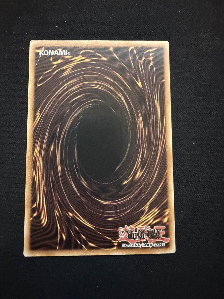 Yu-Gi-Oh! Karte: Blauäugiger Toon-Drache - Selten! (Gebraucht) in ...