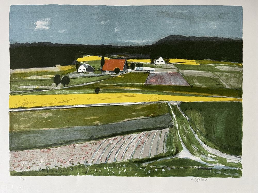 Rolf Gfeller, handsigniert, nummeriert (Gebraucht) in Rain für CHF 39 – nur Abholung auf Ricardo ...