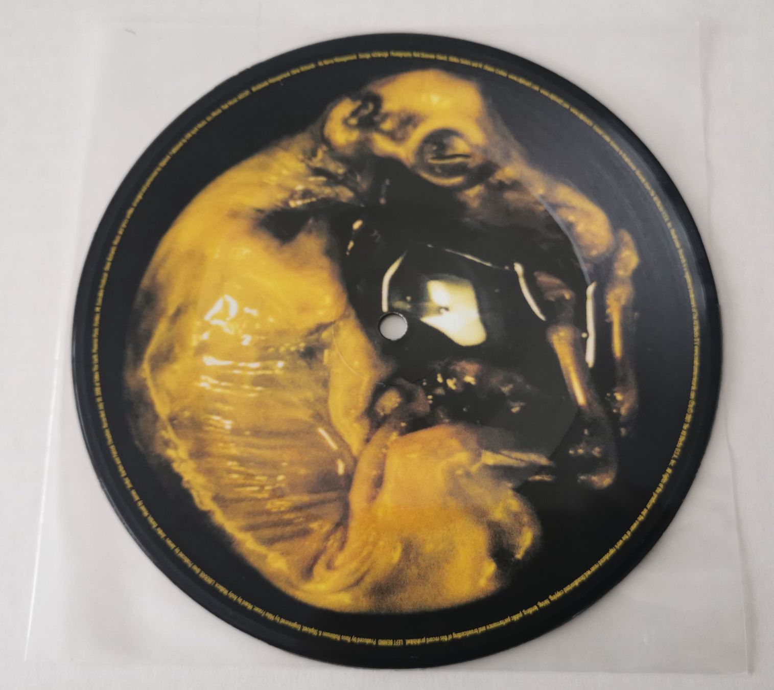 SLIPKNOT: Left behind 7" Picture Disc Nu-Metal Alternative (Gebraucht ...