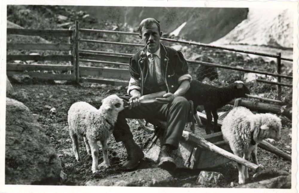 Valais VS - Le Moutonier (Bas-Valais) (D'occasion) à Niedergesteln pour ...