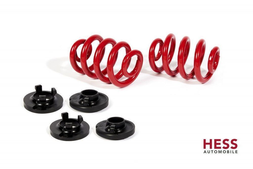 Auflastungs-Federn HA VW T5/T6/T6.1 bis 3.5t | Comprare su Ricardo