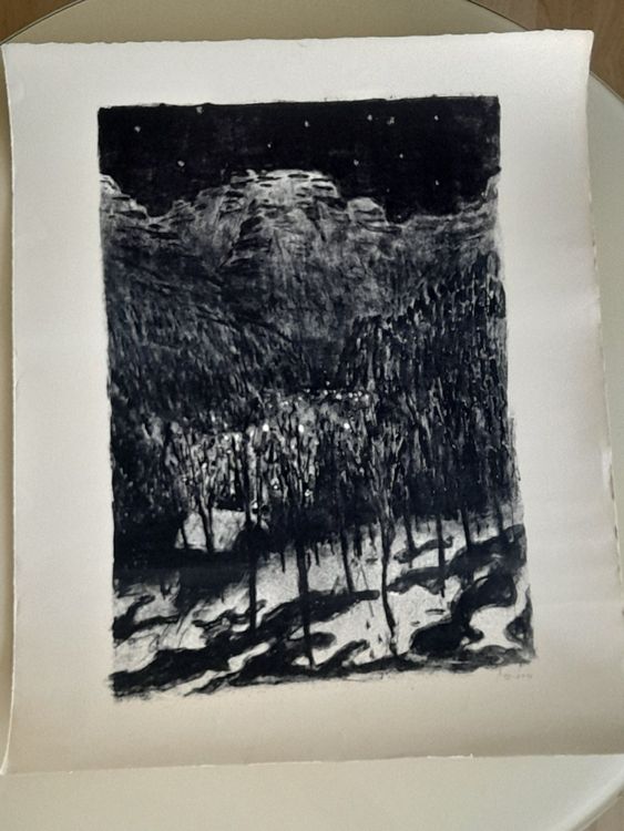 Litho Meisser " Winter Abendstimmung " (Gebraucht) in Thun für CHF 25 ...
