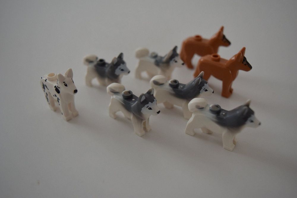LEGO City Dogs Hund x 8 | Kaufen auf Ricardo