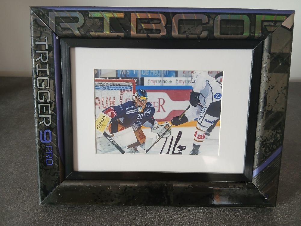 Hockey stick frame for photo with glass, NHL, NL, SHL,... (Gebraucht ...