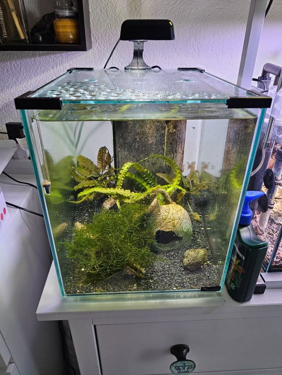 Nano Cube Aquarium Aquatlantis | Kaufen auf Ricardo
