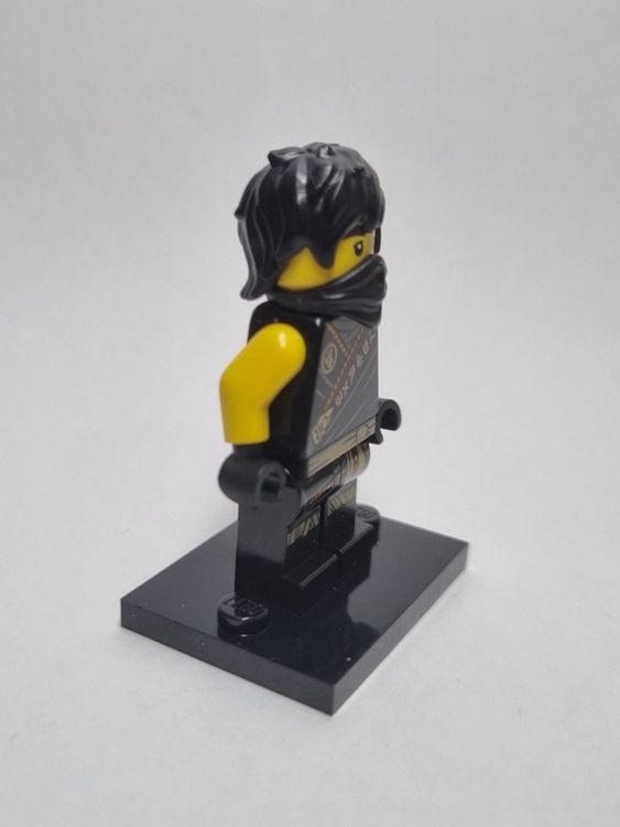 LEGO Ninjago njo575 Cole - Legacy, Rebooted, 'MANTER' Torso | Kaufen ...