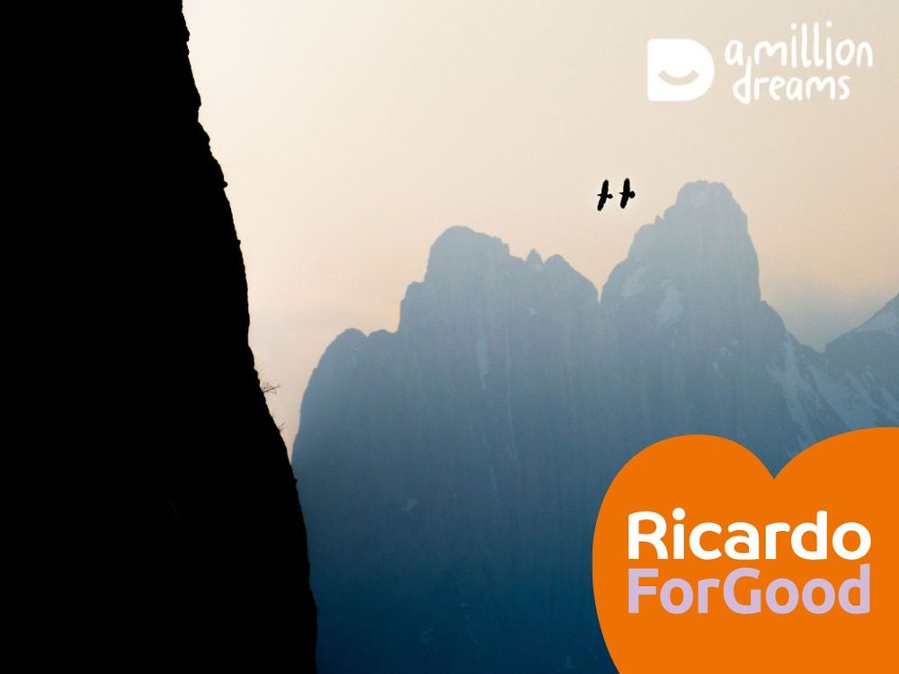 Fine-Art-Print des Schweizer Naturfotografen Levi Fitze (Gebraucht) in ...