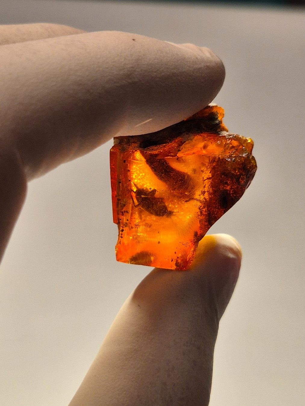 Ambre baltique naturel avec inclusion d'un grillon (D'occasion) à ...