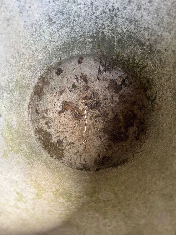 Boille à lait | Kaufen auf Ricardo