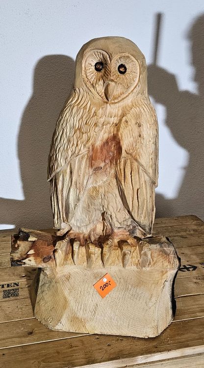 Holzskulptur Schleier Eule, Handarbeit, Unikat, Deko Figur (Neu (gemäss Beschreibung)) in ...