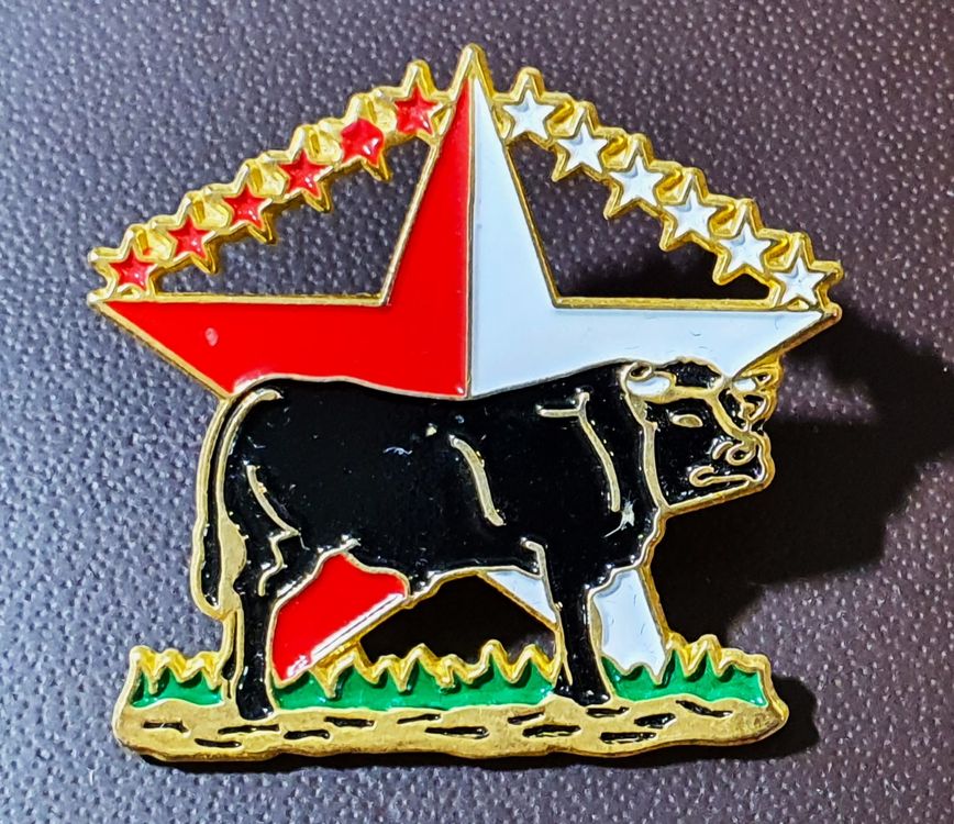 S353 - Pin Valais Walliser Eringer Kuh Kampf / Cow Fight (Gebraucht) in ...