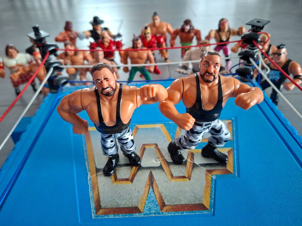 Action Figure Bushwhackers Butch & Luke (Tag Team '90) (Gebraucht) in ...
