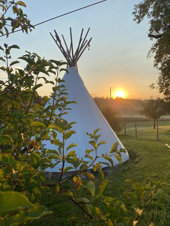 Tipi (Gebraucht) in Cham für CHF 1000 – nur Abholung auf Ricardo kaufen