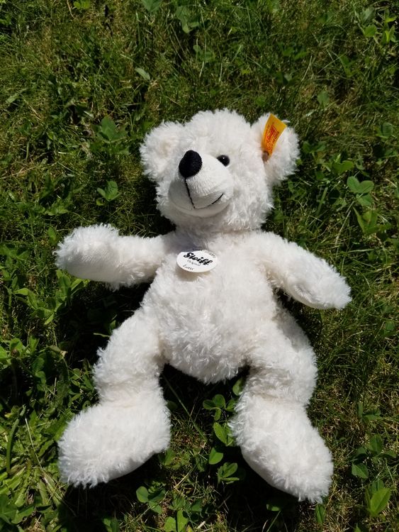 Bär Lotte Kuscheltier von Steif ca. 30cm | Kaufen auf Ricardo
