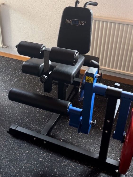 MAXXUS Multi Trainer Pro | Kaufen auf Ricardo