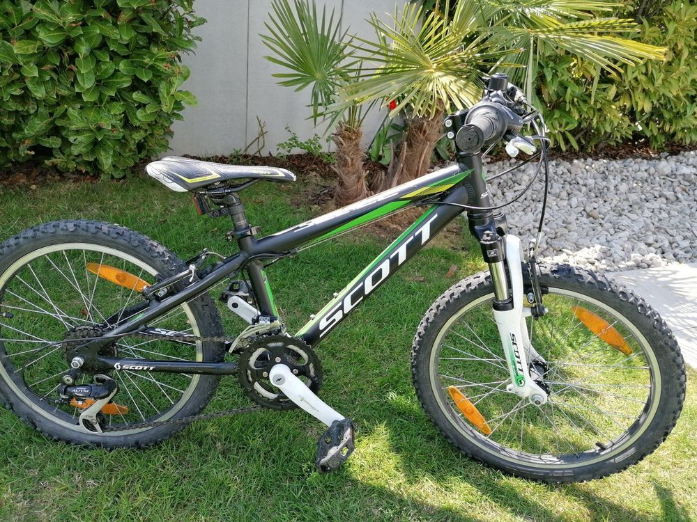 Scott Scale 20 Zoll | Kaufen auf Ricardo