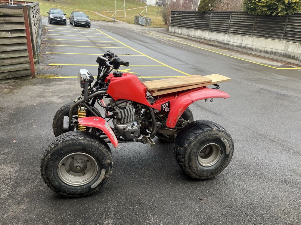 Quad 250 ccm (Gebraucht) in Signau für CHF 800 – nur Abholung auf ...