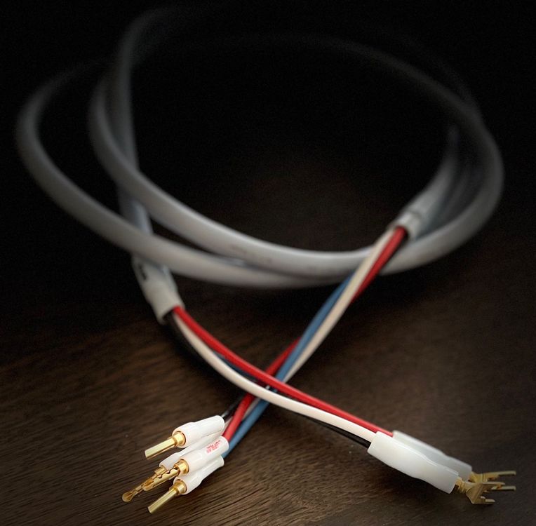 Supra Cables QUADRAX BI-WIRING (Gebraucht) in Basel für CHF 150 – mit ...