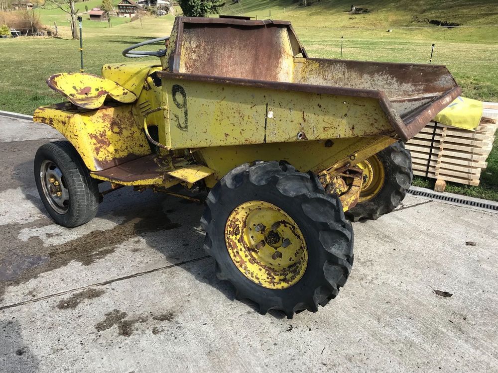 Liner Dumper lister Motor roughrider | Kaufen auf Ricardo