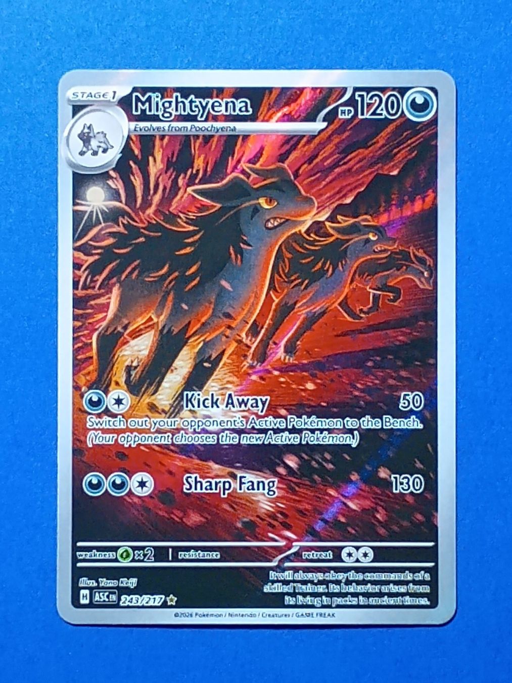 Pokemon TCG Ascended Heroes Mightyena 243 🇬🇧 (Neu (gemäss Beschreibung ...