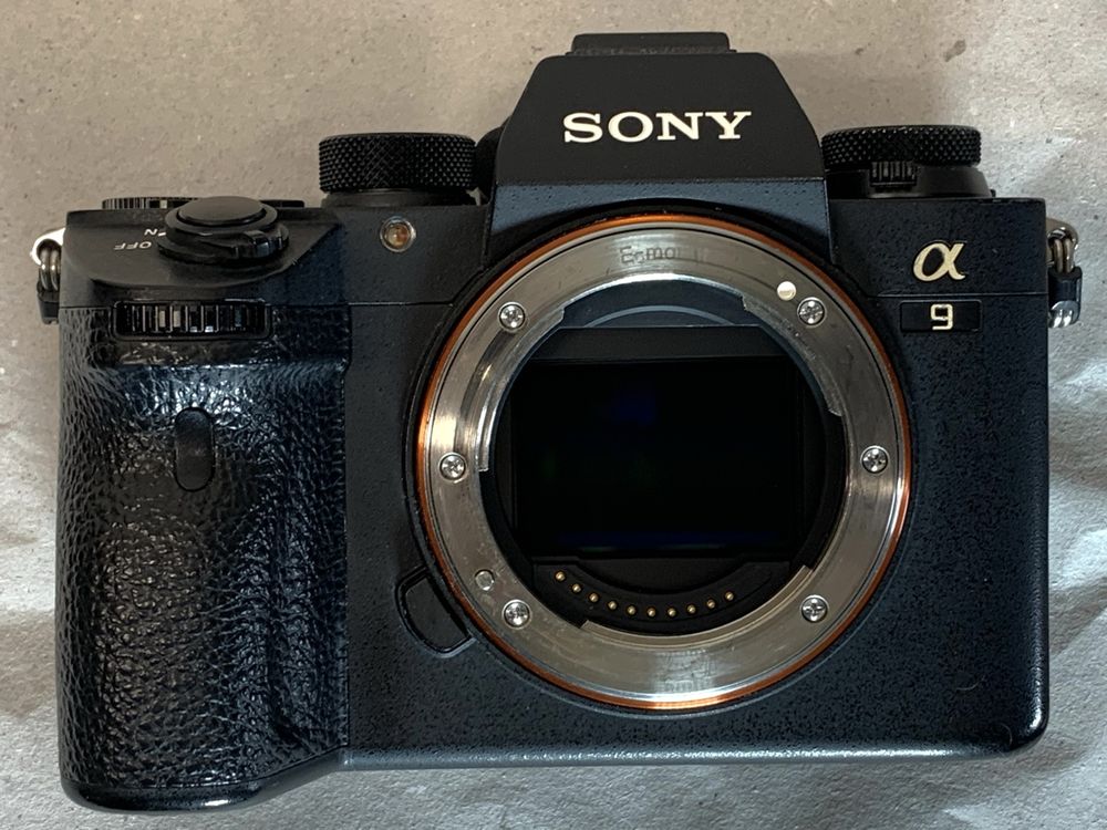 Sony alpha 9 (Gebraucht) in Grono für CHF 1350 – mit Lieferung auf ...